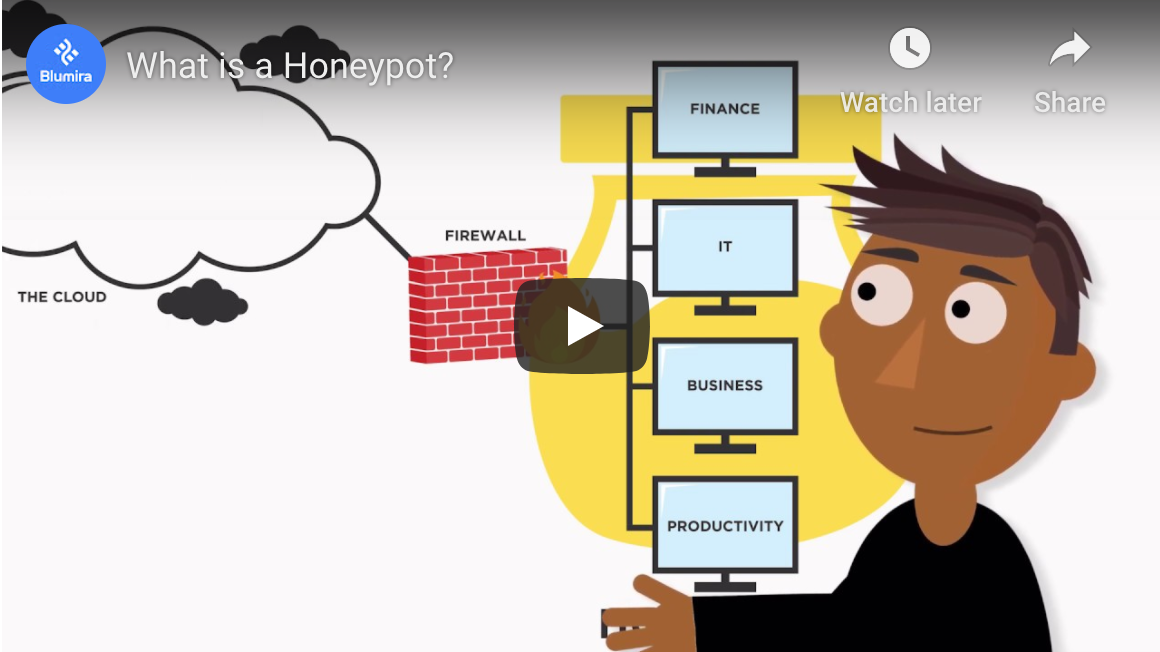 Hands in the Honeypot: Detecting Real Security Threats